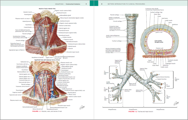 新书入库 I NETTER’S INTRODUCTION TO CLINICAL PROCEDURES - 知乎