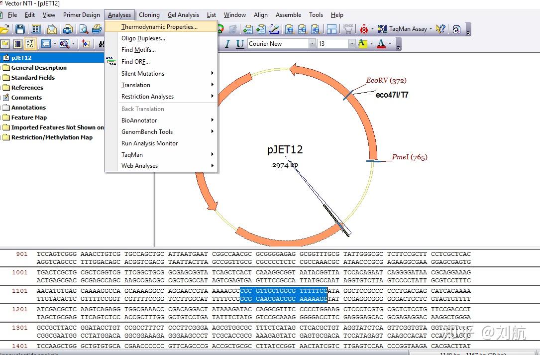 不会设计引物，你敢说你会做PCR？ - 知乎