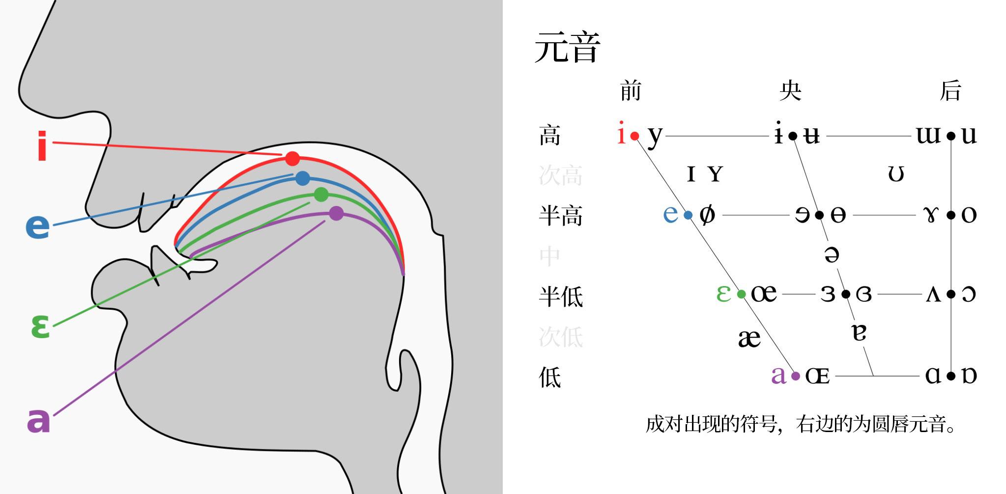 国际音标速成教程 - 知乎