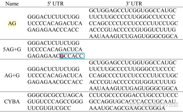 理性设计UTR，高效表达SARS-CoV-2抗原 - 知乎