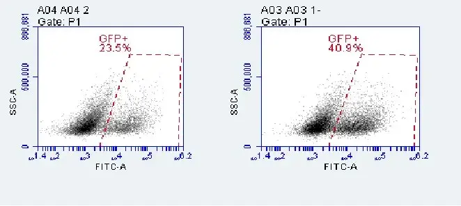 慢病毒转导增强剂——LVTE - 知乎