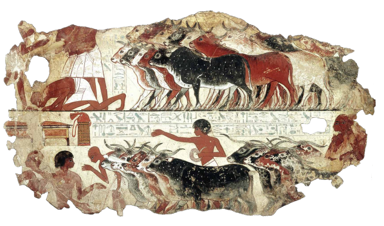 古埃及的壁画和浮雕，为什么多有反视觉经验的“扭麻花人物像”？ - 知乎