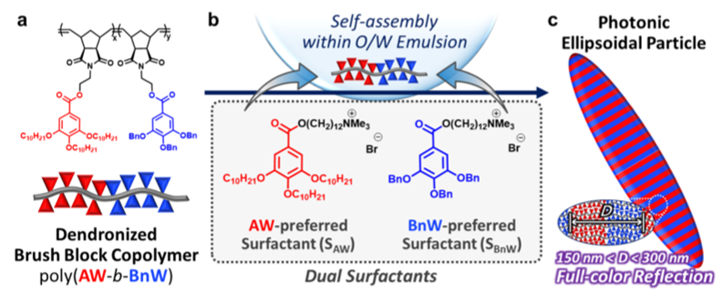 Tim Swager院士《JACS》：全光谱转换的椭球形聚合物光子晶体粒子！ - 知乎