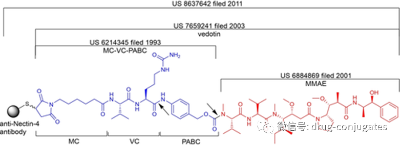 Nectin-4 ADC药物Enfortumab Vedotin(Padcev）全球专利布局 - 知乎