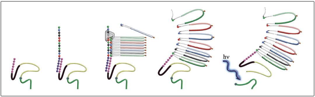 罗氏Roche测序：士别十年，我胡汉三又回来了！ - 知乎