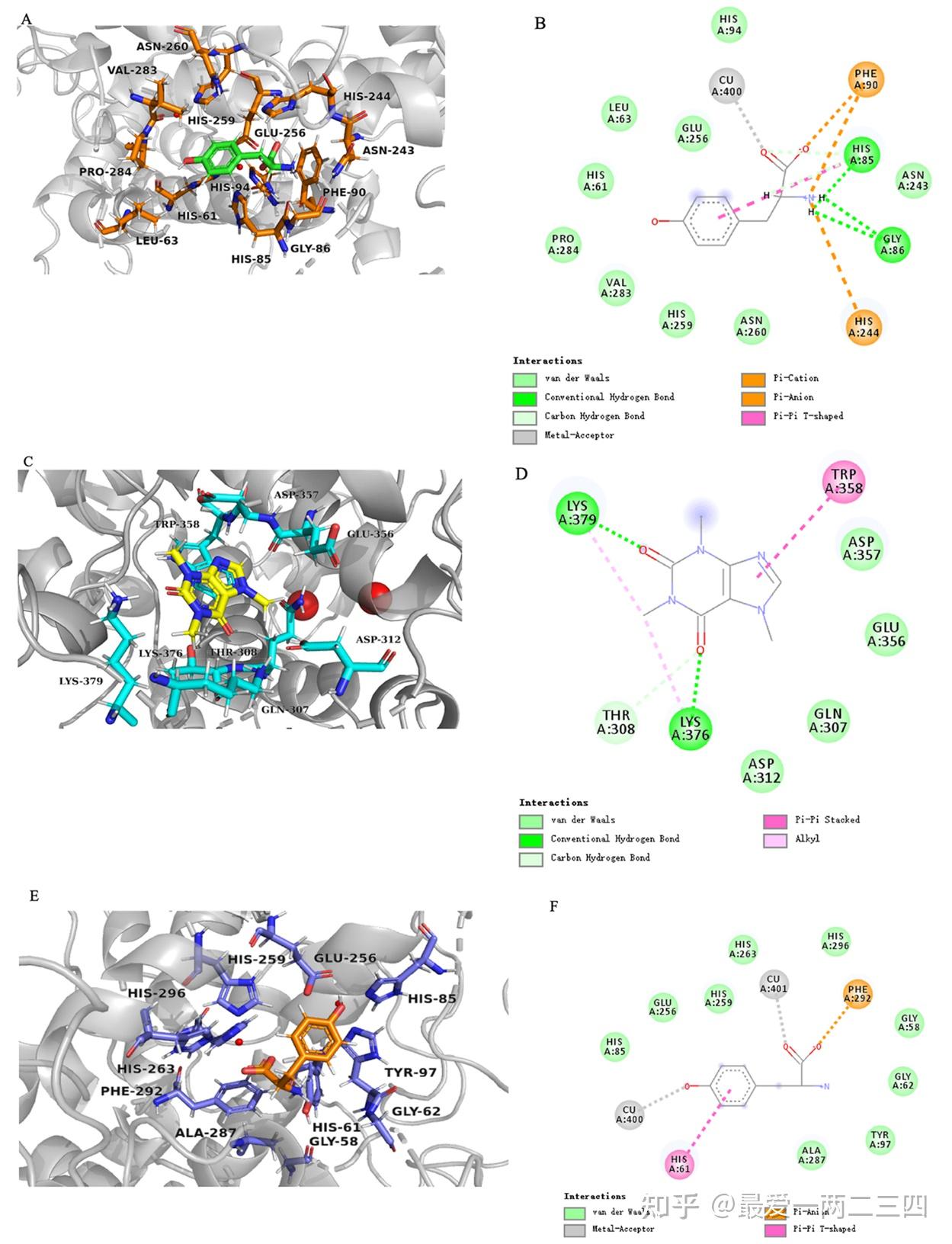 山茶花粉中咖啡因酪氨酸酶抑制剂活性的研究 - 知乎