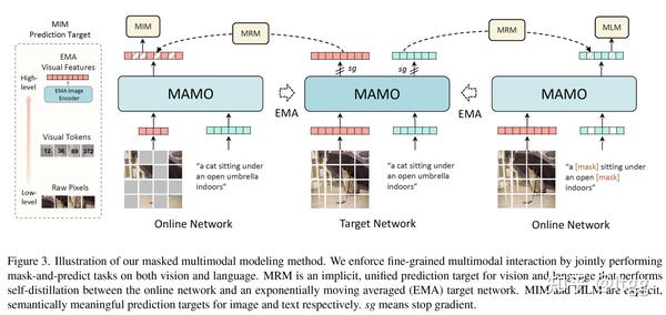 多模态如何做联合Mask？MAMO结合显式与隐式预测目标进行多模态Masked Modeling - 知乎
