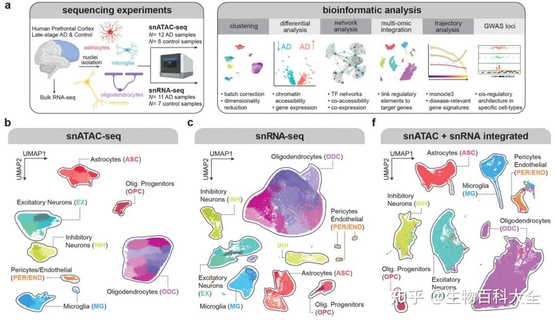 11月高分文献速递 | 单细胞RNA+ATAC系列 - 知乎