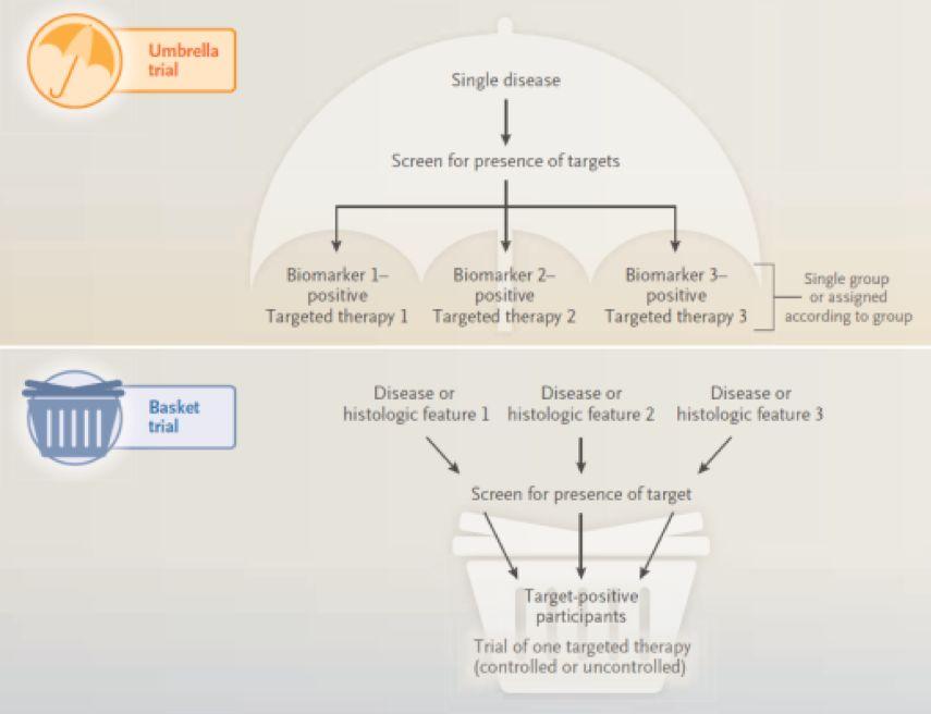 平台型临床试验 Platform Trials - 知乎