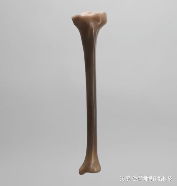 Sawbones简介 - 知乎