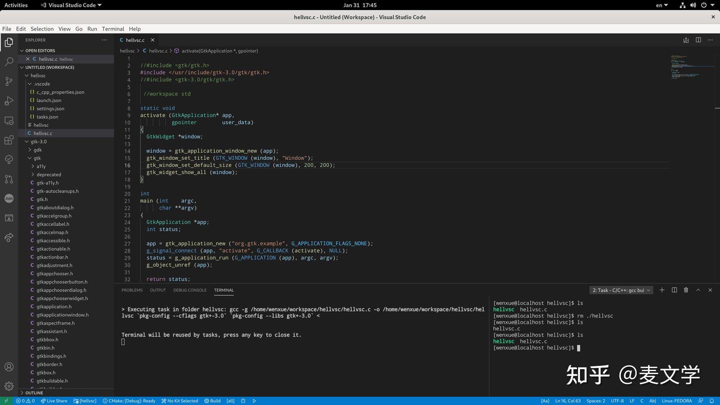 VS Code 玩 C GTK 不报错能顺利编译运行的设置 tasks.json 等