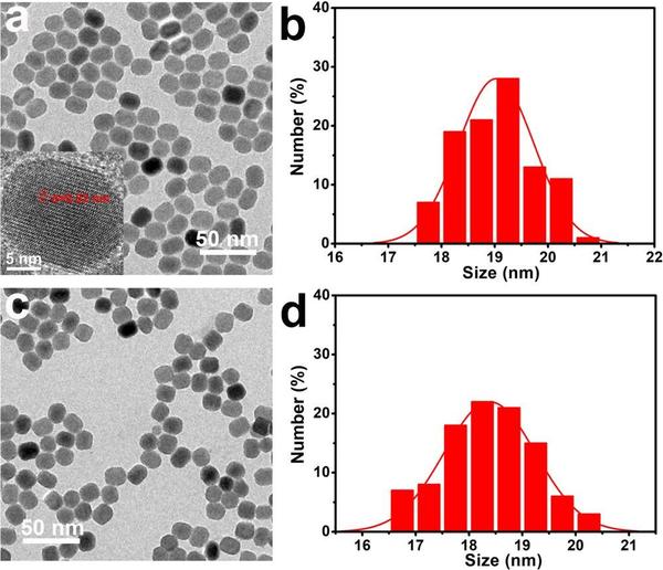 恒光讲堂｜NaGdF4纳米探针：用于靶向细菌的NIR-II光声成像 - 知乎