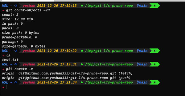 Git 仓库瘦身与 LFS 大文件存储 - 知乎