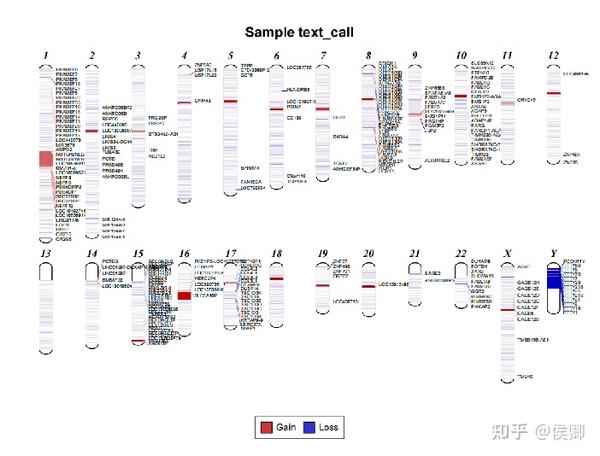 CNVkit、CNVpytor(CNVnator的python版)以及低深度（0.1×-1×）WisecondorX 进行cnv分析 - 知乎
