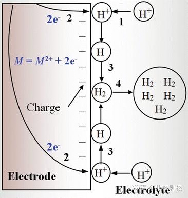 激活极化-activation polarization - 知乎