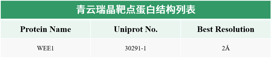 WEE1蛋白：细胞周期调控的关键角色及其在肿瘤治疗中的潜力 - 知乎