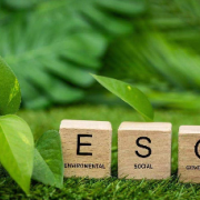 ESG管理师丨一文读懂ESG、ESG生态圈、ESG监管、ESG标准、ESG评级、ESG投资 - 知乎