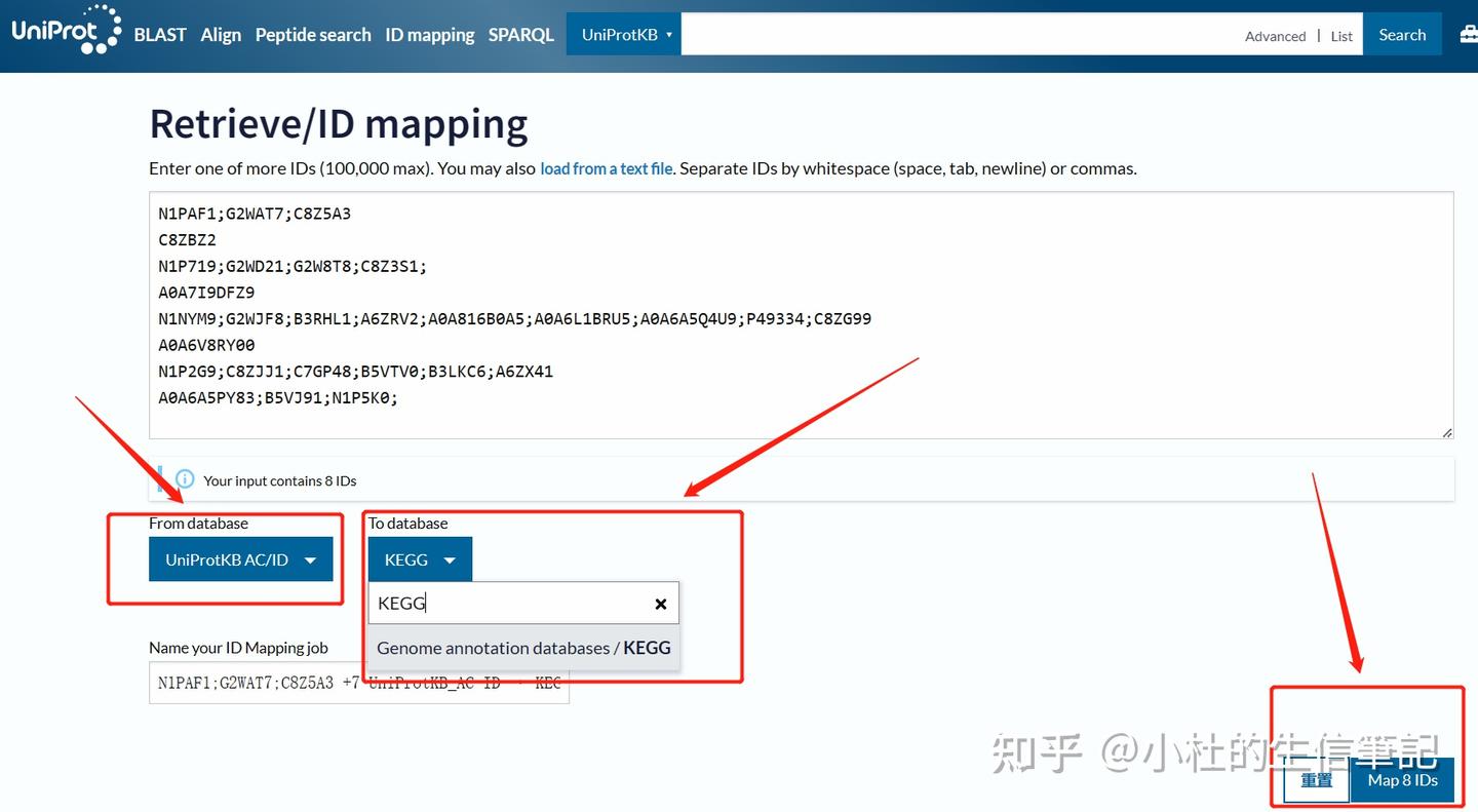 使用蛋白ID如何进行KEGG和GO富集分析 - 知乎