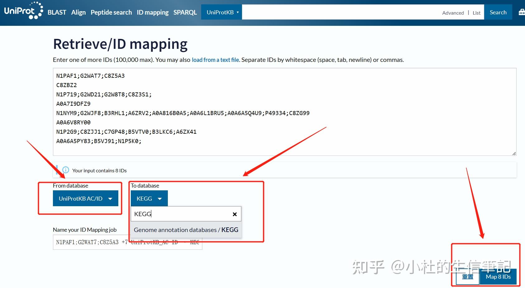 使用蛋白ID如何进行KEGG和GO富集分析 - 知乎