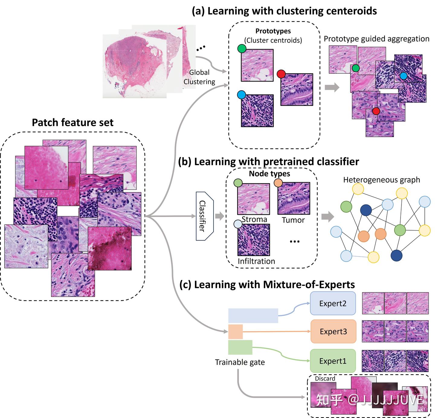 [CVPR 2025] Learning Heterogeneous Tissues with Mixture of Experts for Gigapixel Whole Slide ...