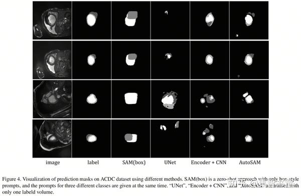 医疗SAM也来啦 | AutoSAM告诉你如何在医疗领域更快更好开发大模型 - 知乎