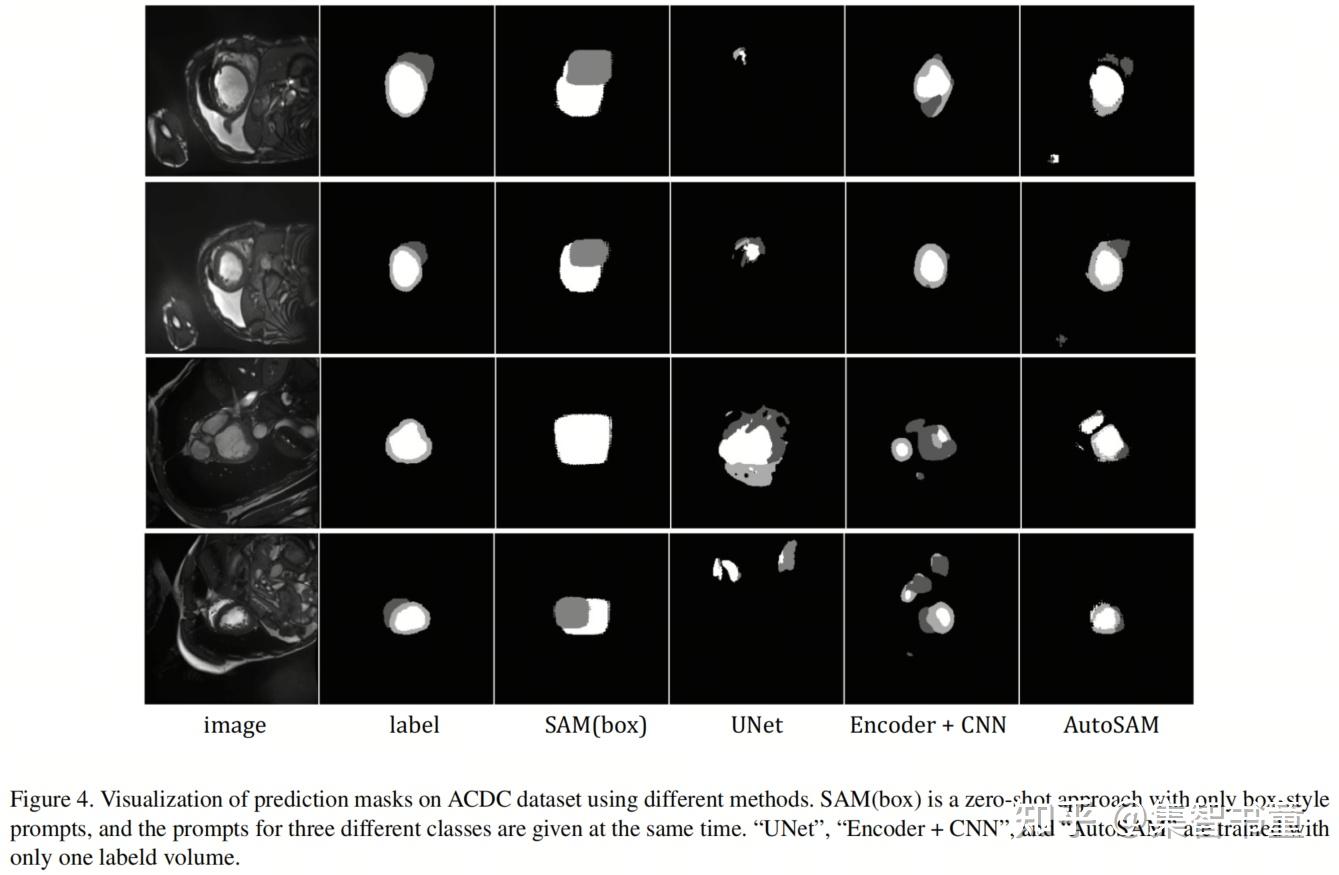医疗SAM也来啦 | AutoSAM告诉你如何在医疗领域更快更好开发大模型 - 知乎