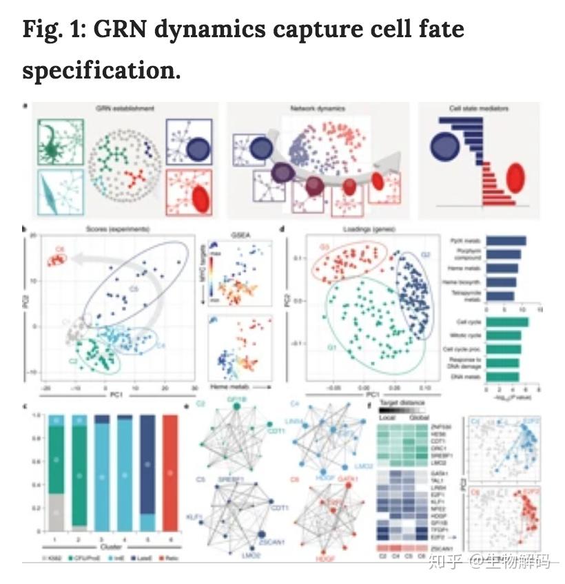每日文摘 | 2019年07月15日 - 知乎