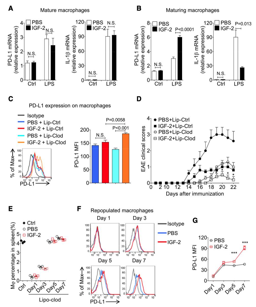 Immunity丨IGF-2处理使巨噬细胞代谢重编程从而发挥抗炎作用 - 知乎