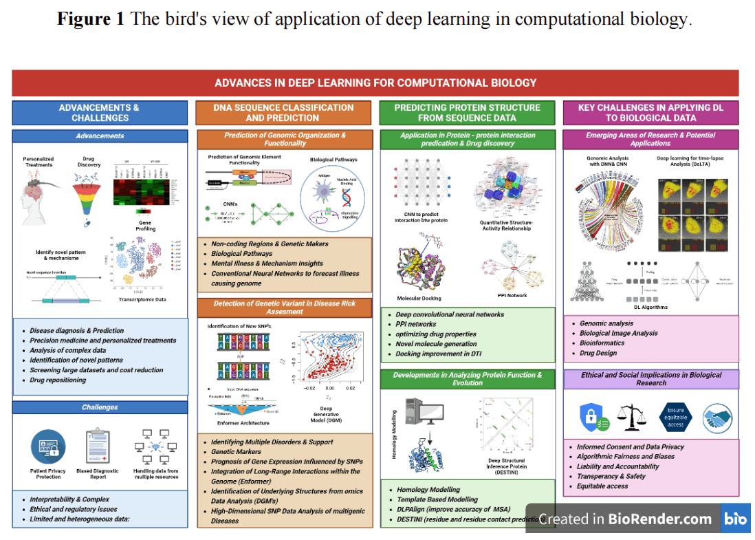 计算生物学中的深度学习：进展、挑战和未来展望 - 知乎