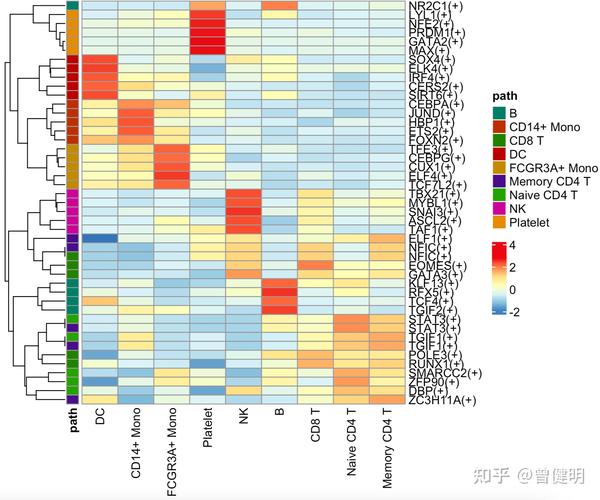 pyscenic的转录因子分析结果展示之各个单细胞亚群特异性激活转录因子 - 知乎
