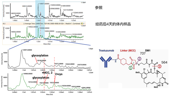 基于高分辨质谱技术的完整蛋白定量定性一体化生物分析 - 知乎