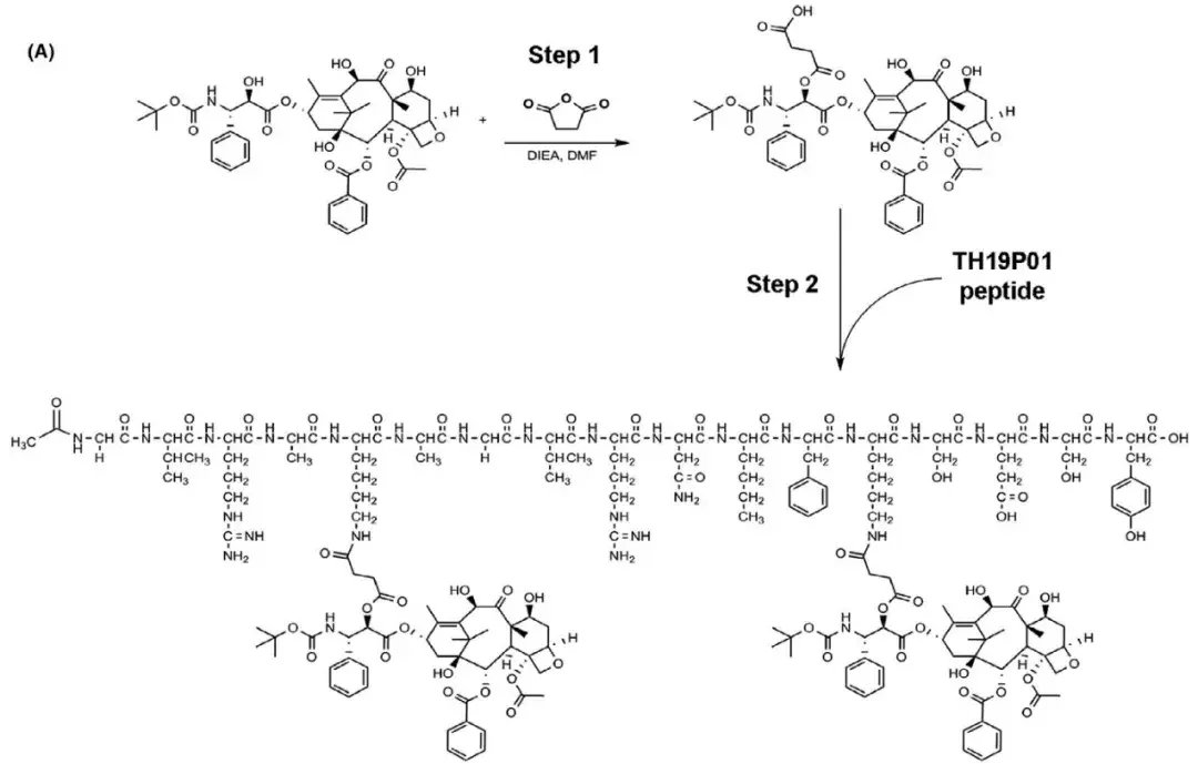 Self Renew专栏｜TH1902，老药新用的PDC - 知乎