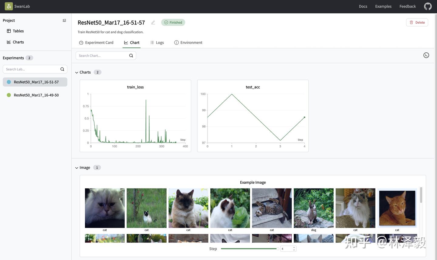 PyTorch猫狗分类：从SwanLab可视化训练到Gradio Demo网站 - 知乎