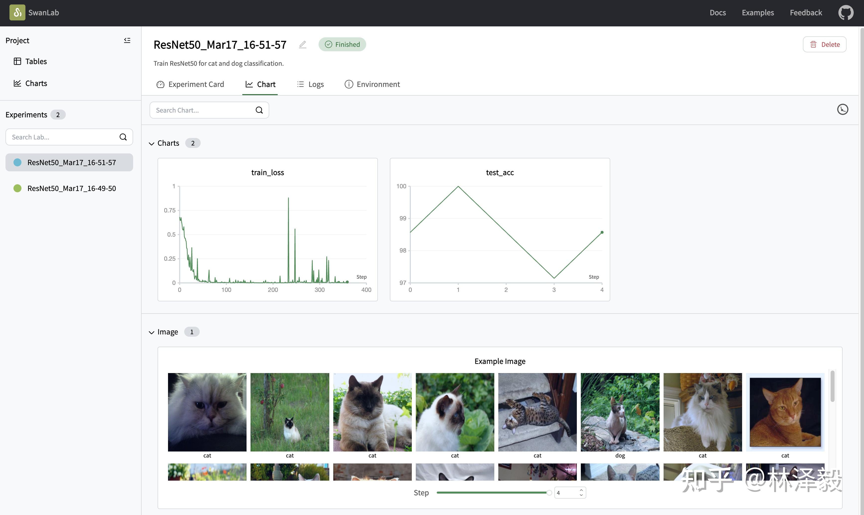 PyTorch猫狗分类：从SwanLab可视化训练到Gradio Demo网站 - 知乎
