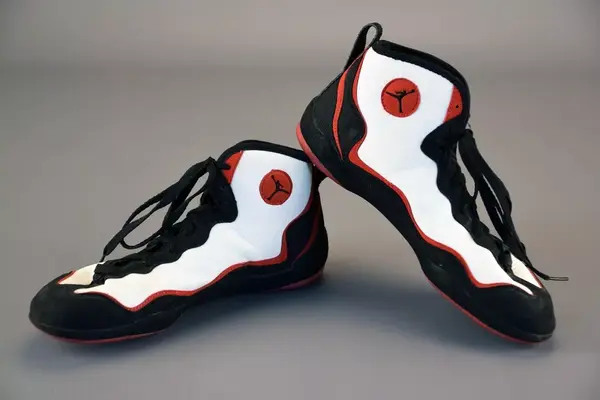 史上最强球鞋创业公司的诞生 JORDAN TEAM 1997-1998 - 知乎