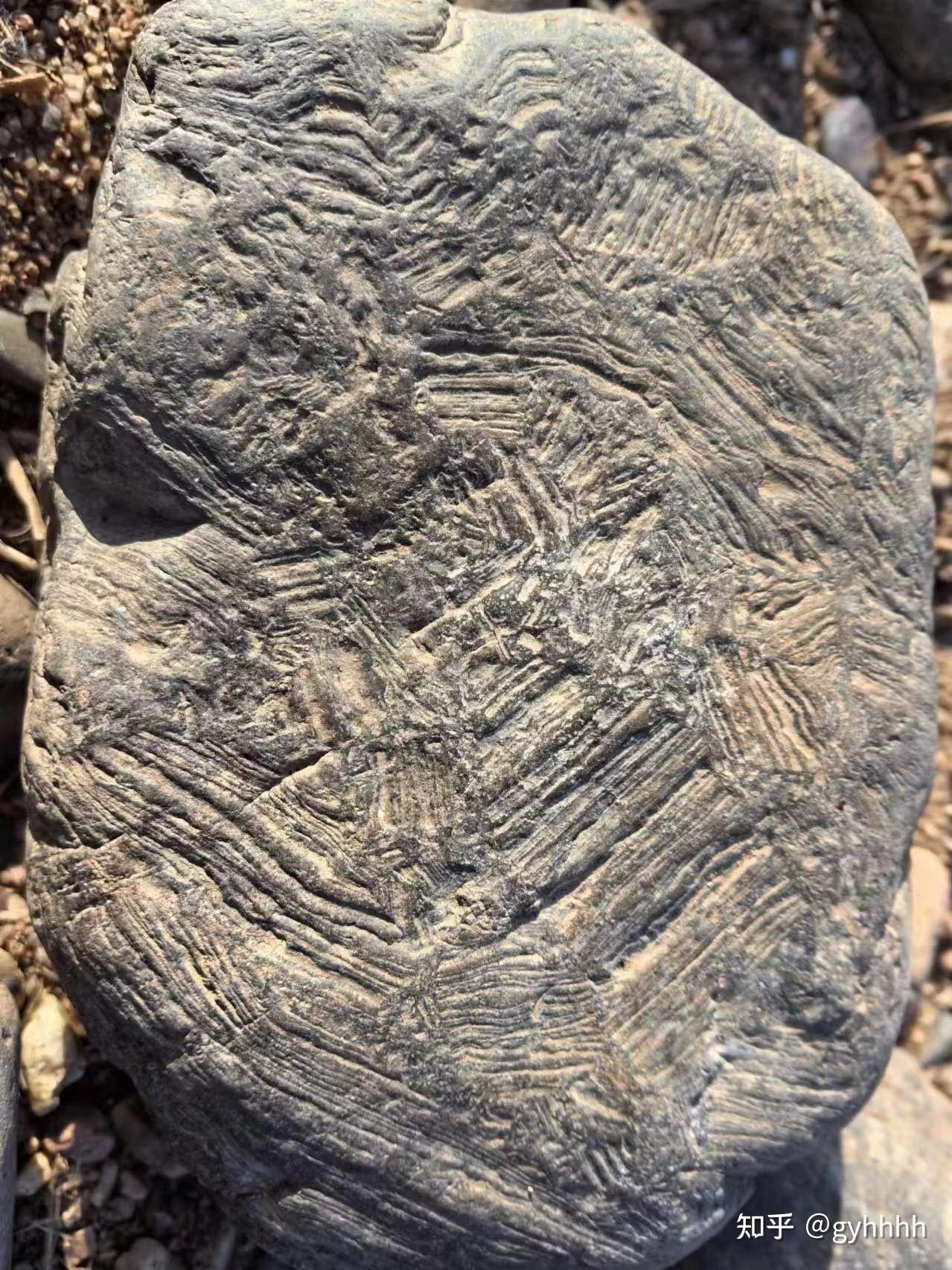 请问这是什么石头？ - 知乎