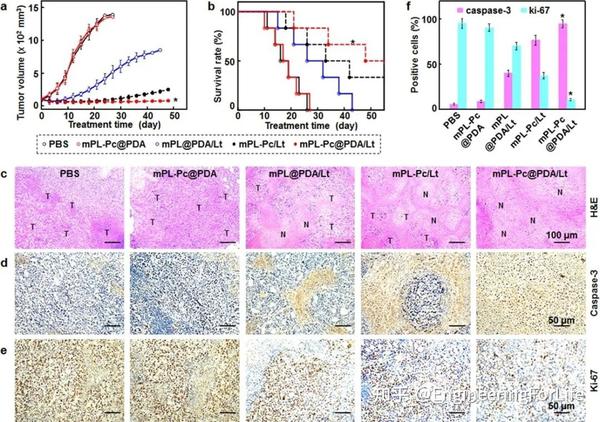 《CEJ》：双动力驱动Janus纳米马达用于癌症治疗 - 知乎