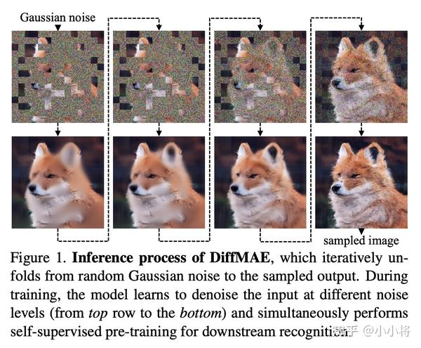 简读Diffusion Models as Masked Autoencoders - 知乎