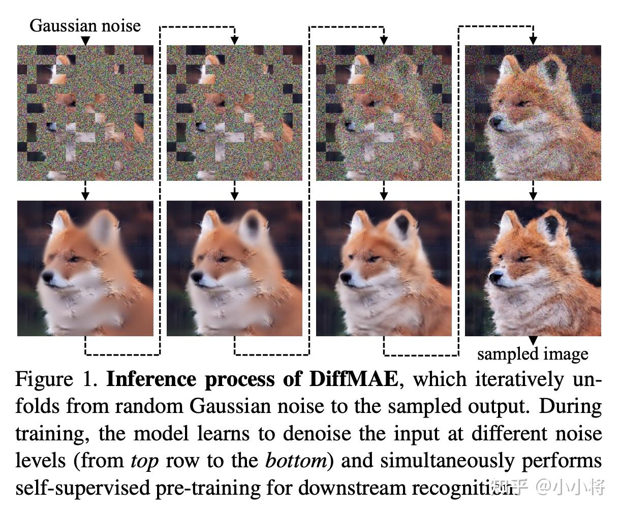 简读diffusion Models As Masked Autoencoders 知乎 