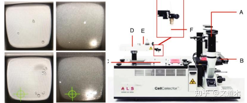 单B细胞鉴定抗体效率提高所依赖于的技术进步(1) - 知乎