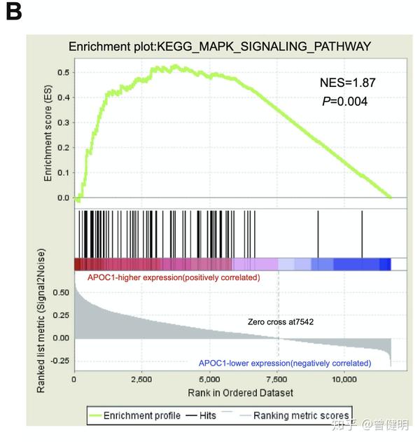 TCGA数据库单基因gsea作业之COAD-READ - 知乎