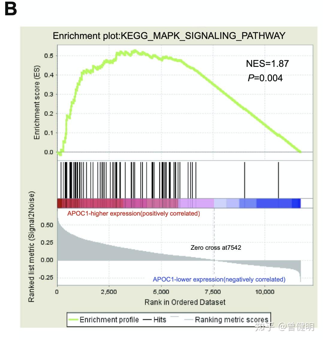 TCGA数据库单基因gsea作业之COAD-READ - 知乎