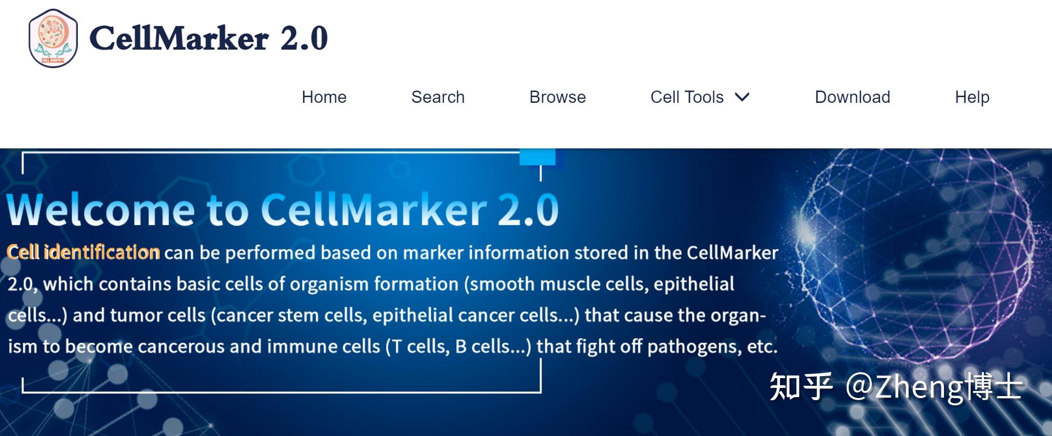 Cellmarker 2.0 ---单细胞注释--首次发现比国外同类好用的网站 - 知乎