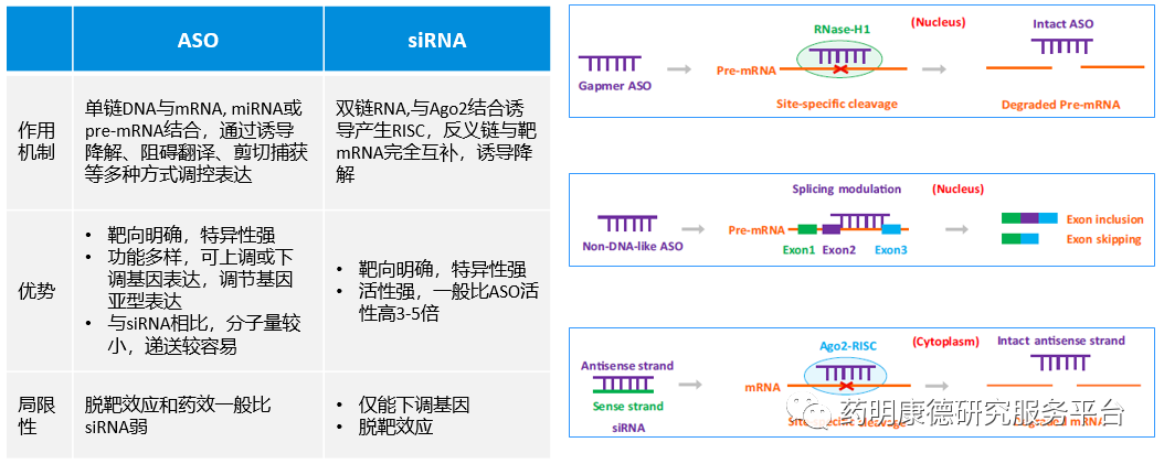 寡核苷酸药物的研究进展与生物学评价 - 知乎
