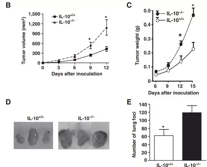 IL-10与炎症和肿瘤那些事儿…… - 知乎