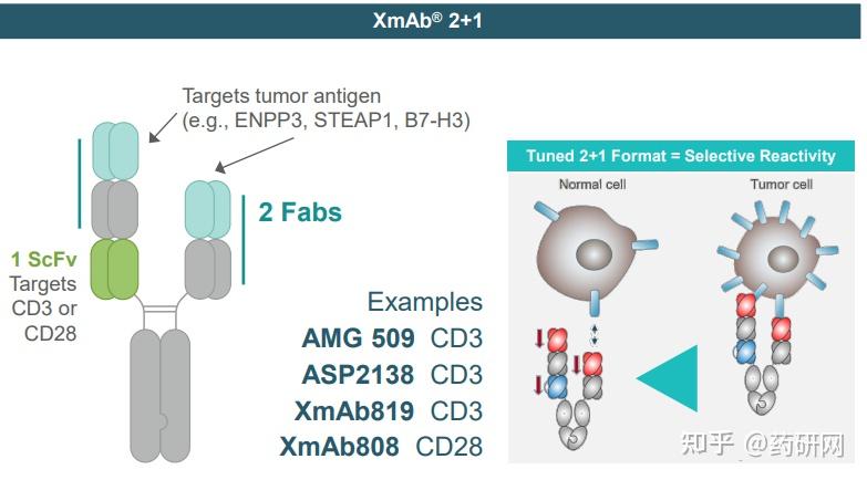 前列腺癌新靶点：STEAP1 - 知乎