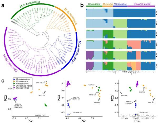 Genome Biology:揭示小鼠行为和神经基因的驯化机制 - 知乎