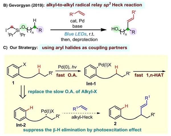 光诱导下 Pd 催化远程烷基 Heck 反应最新进展 - 知乎