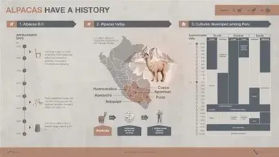 羊驼毛Alpaca，穿越安第斯山脉的时尚传奇 - 知乎