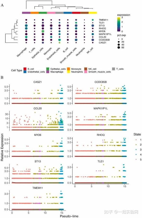 6+：单细胞测序+转录组测序+免疫细胞联合分析新思路 - 知乎